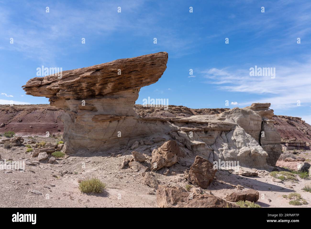 Dinosaur quarry museum hi-res stock photography and images - Alamy