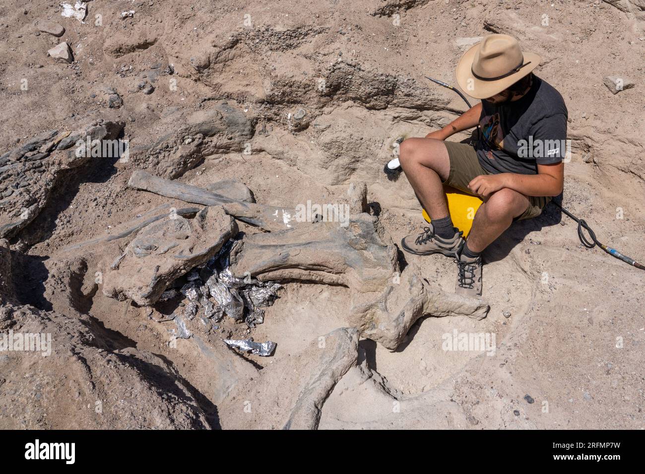 Dinosaur bone fossils being excavated in the Burpee Dinosaur Quarry in ...