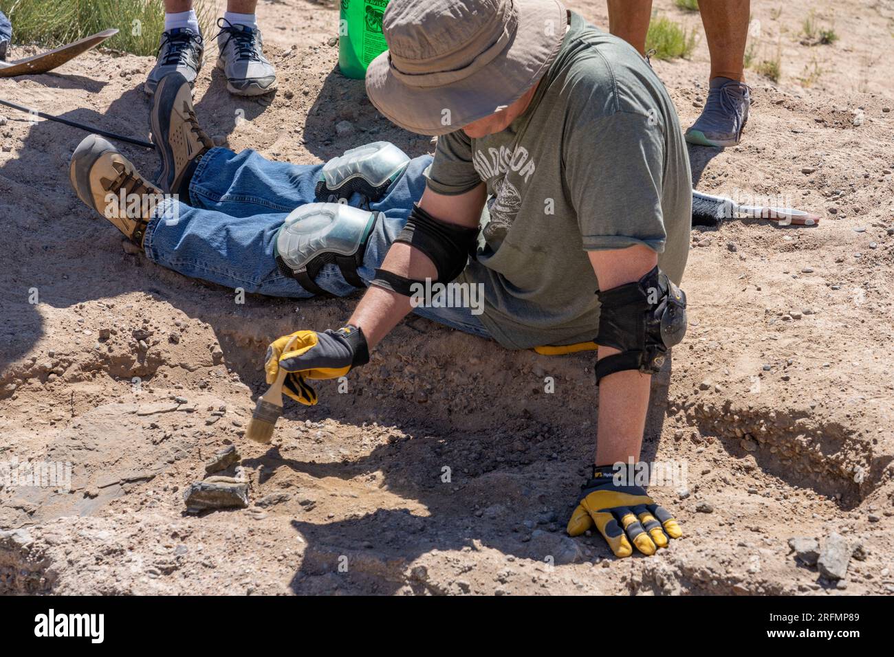 Dinosaur bone fossils being excavated in the Burpee Dinosaur Quarry in ...