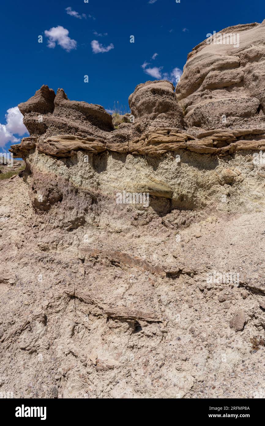 The Morrison Formation at the Burpee Dinosaur Quarry site in the ...