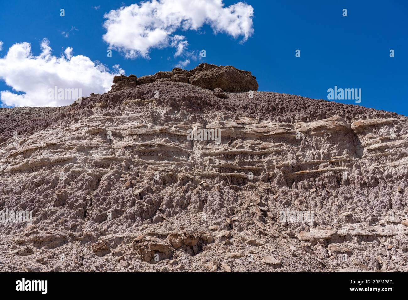 Burpee dinosaur hi-res stock photography and images - Alamy