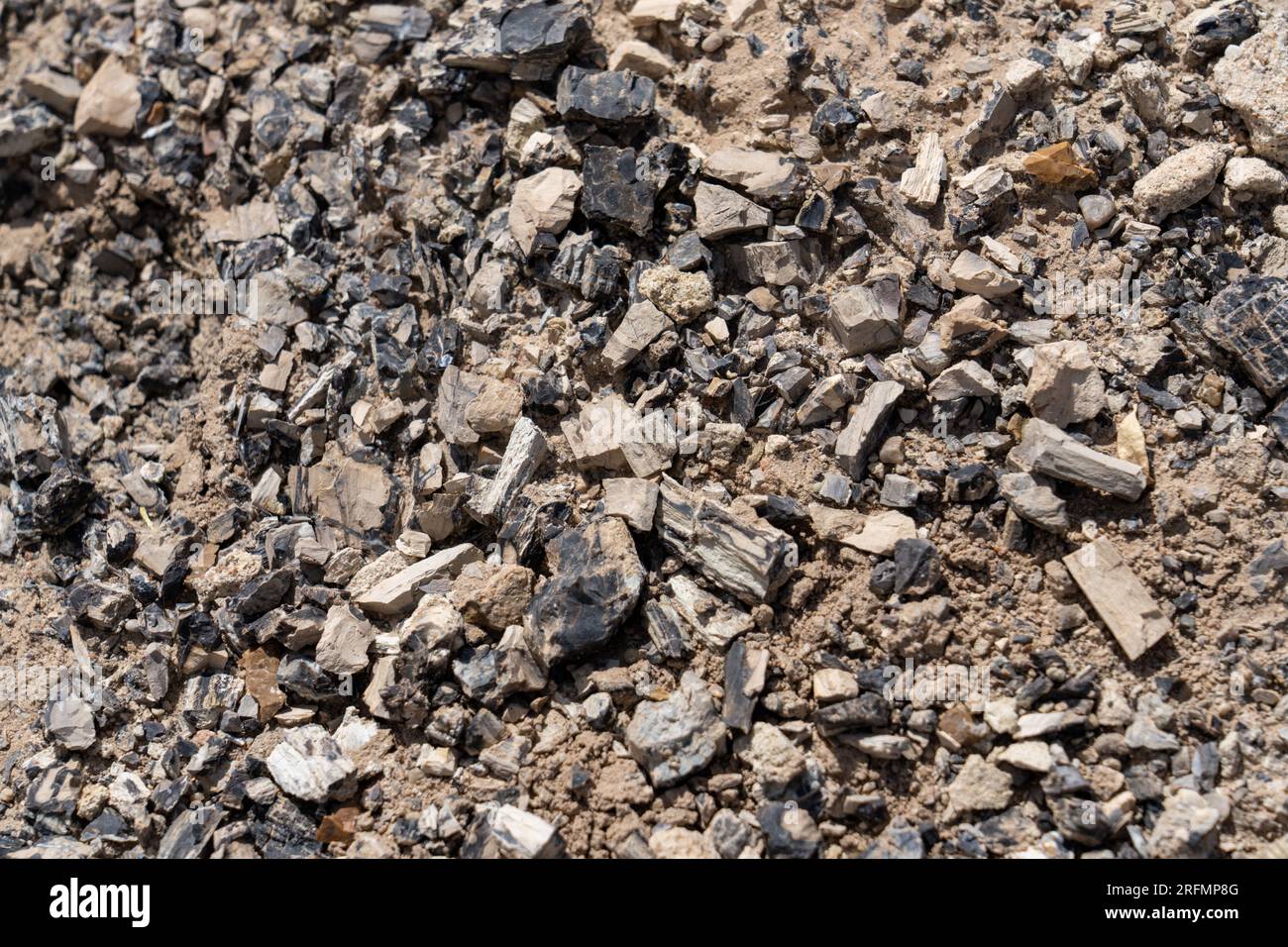 Burpee dinosaur hi-res stock photography and images - Alamy