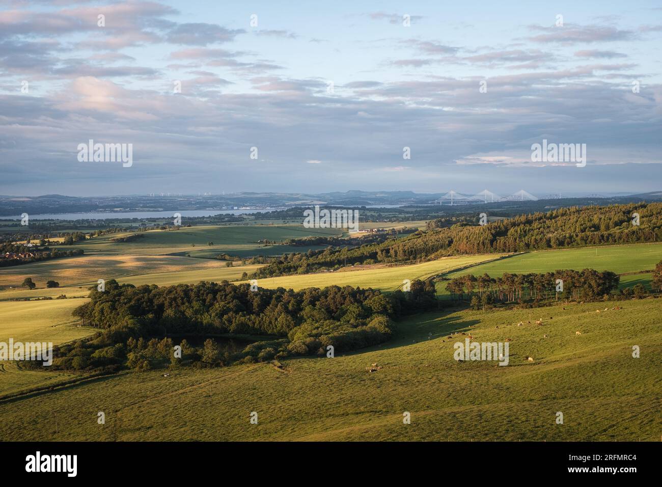 Top view of a rural Scottish landscape with grazing cows on the fields ...