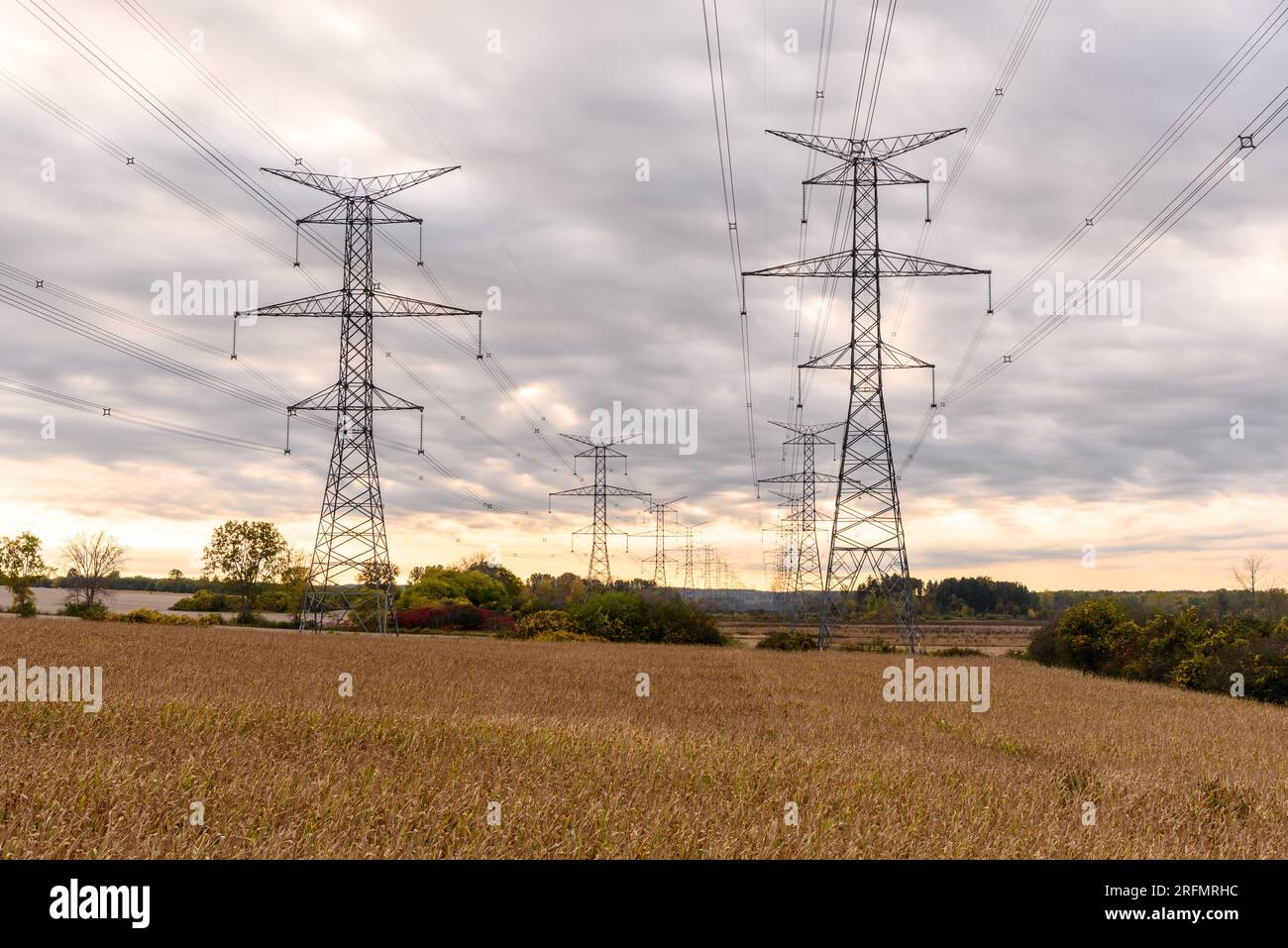 Electricity pylons supporting high voltage power lines in the ...