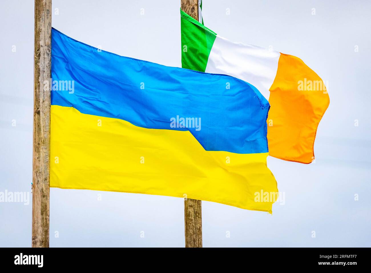 Ireland and Ukraine real flags together friendship and support symbol ...