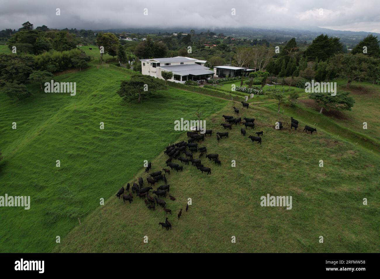 Aerial View of a Cow barn in the country side Stock Photo - Alamy