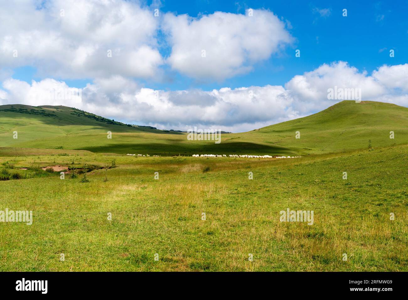 Meander hi-res stock photography and images - Alamy