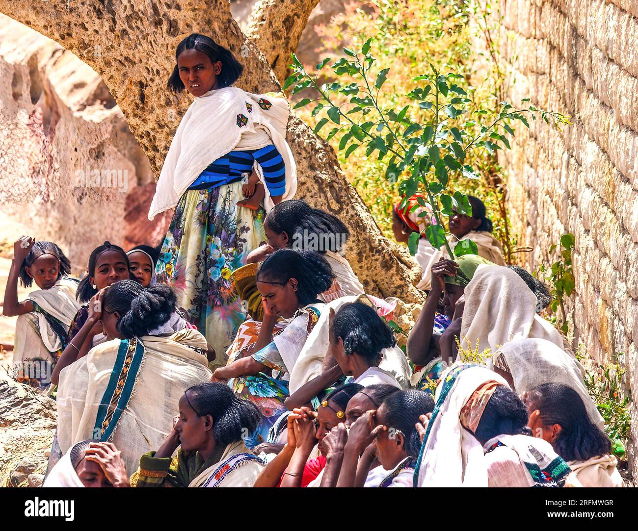 Tigray style hair hi-res stock photography and images - Alamy