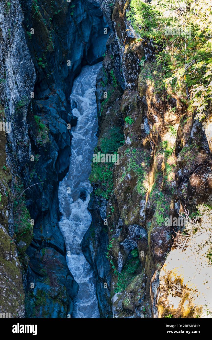 A river on Mount Rainier flows through a crevice. In Washington State Stock Photo - Alamy