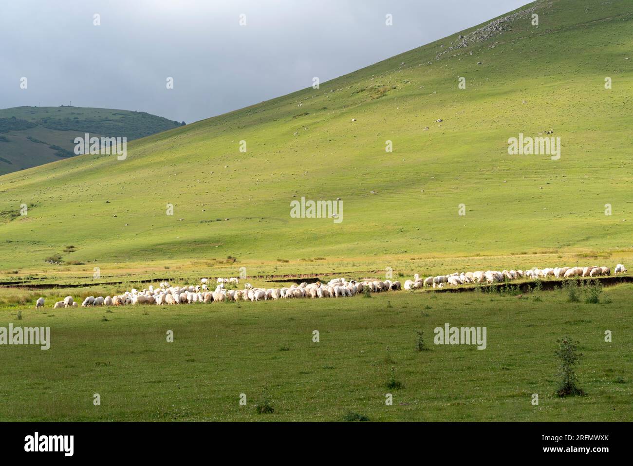 beautiful nature background, meander river plateau Stock Photo - Alamy