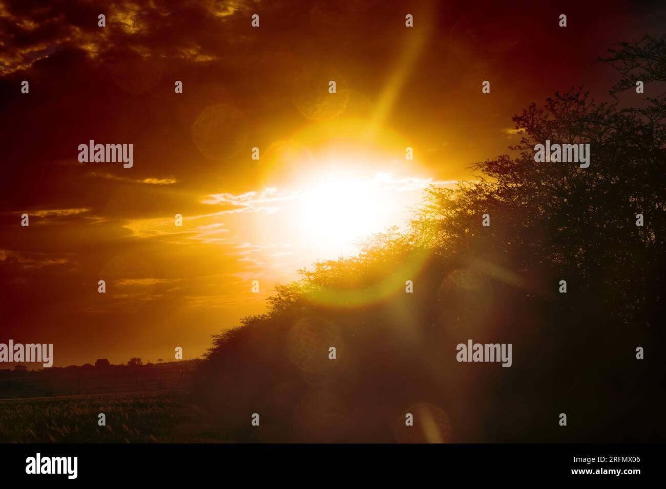 Agricultural engineering. Tree belt area (shelter belt). Such ...