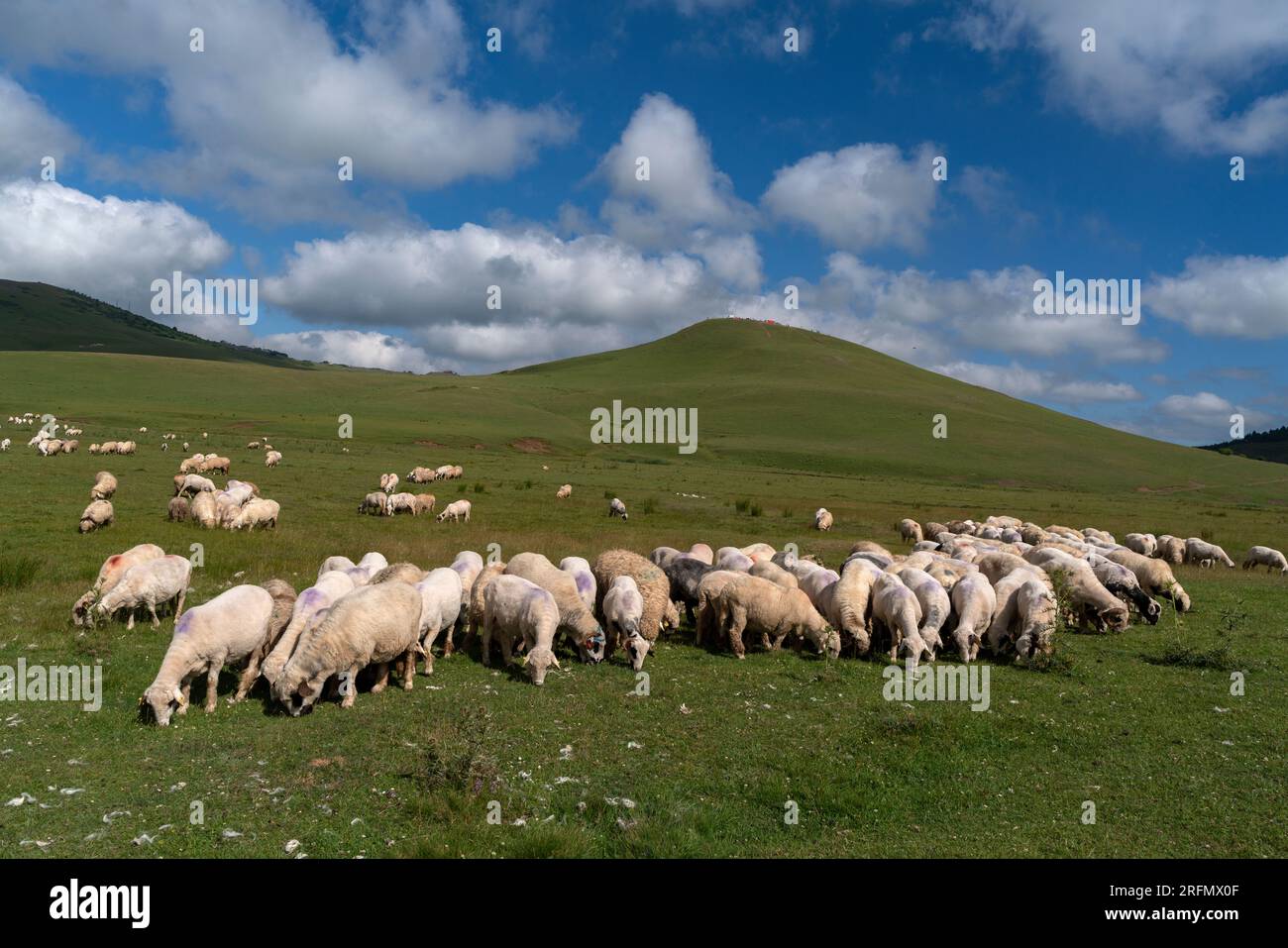 beautiful nature background, meander river plateau Stock Photo - Alamy