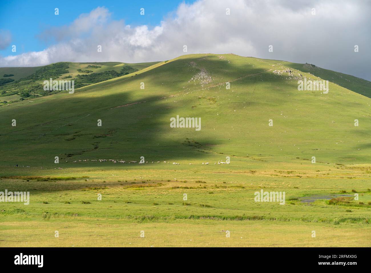 beautiful nature background, meander river plateau Stock Photo - Alamy