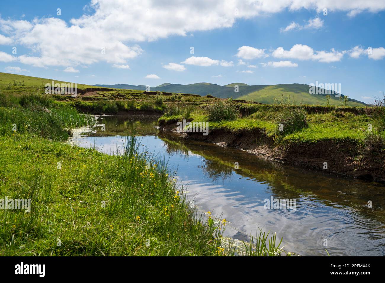 beautiful nature background, meander river plateau Stock Photo - Alamy
