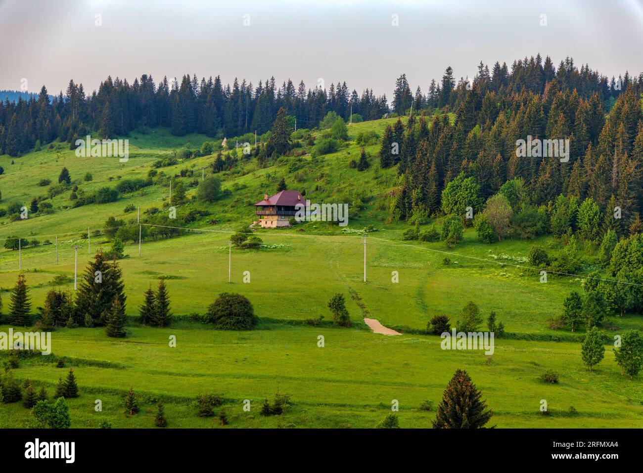 Scenic Panorama: Mount Vlasic Foothills and Green Meadows Stock Photo ...
