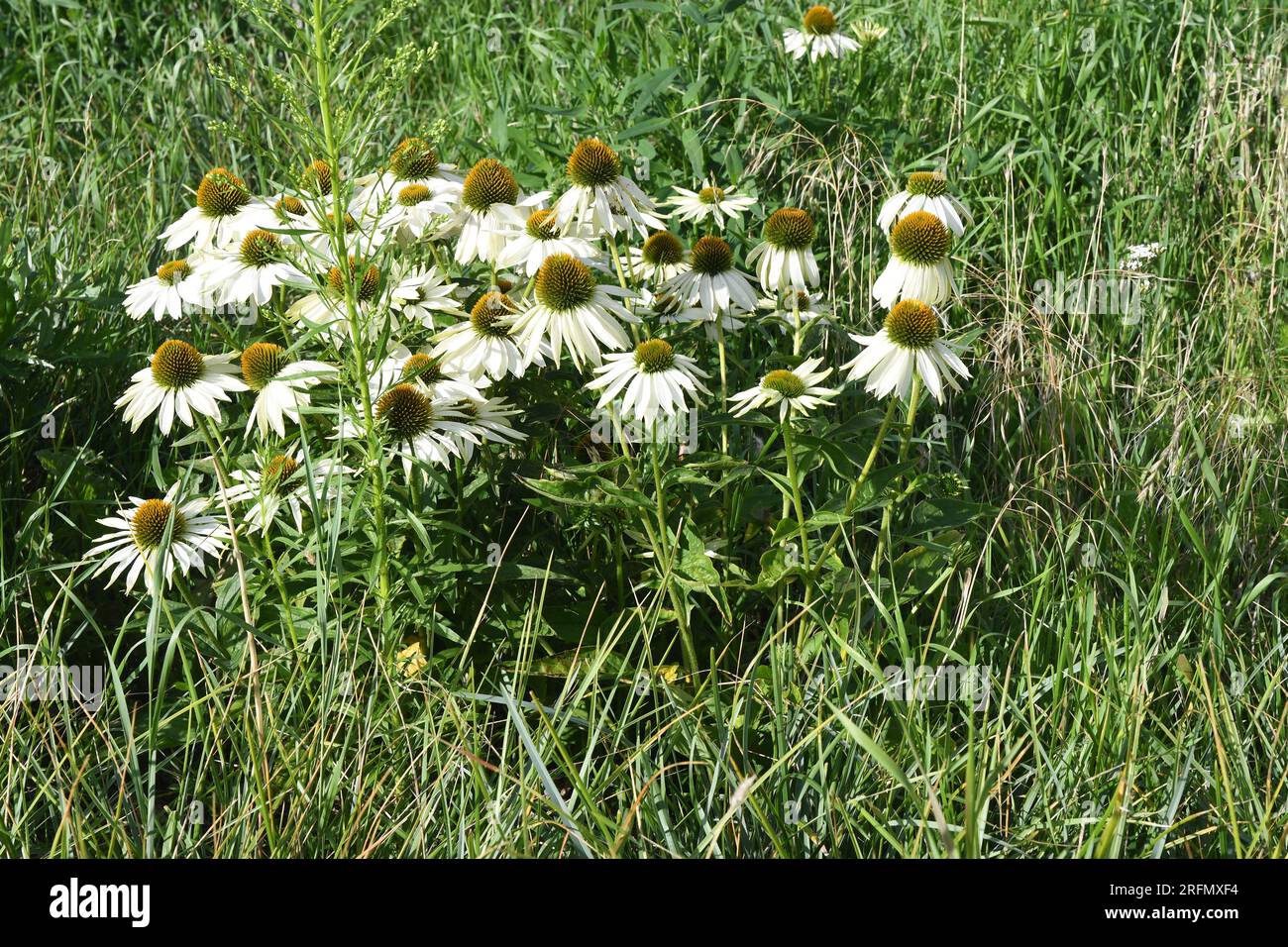 Road sied hi-res stock photography and images - Alamy