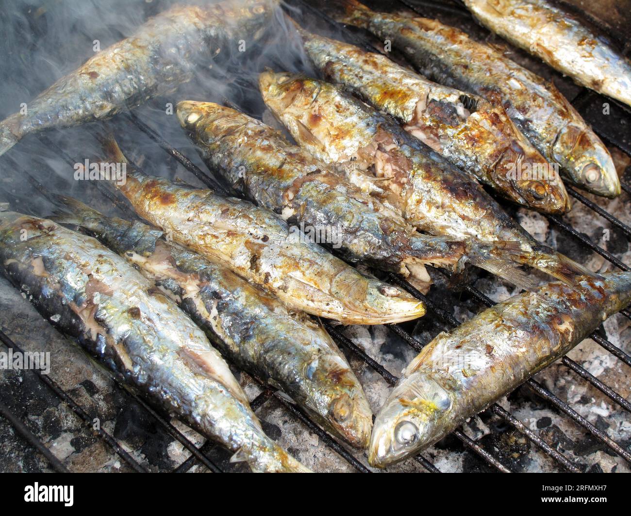 Barbecue grilled sardines with a slightly golden color Stock Photo - Alamy