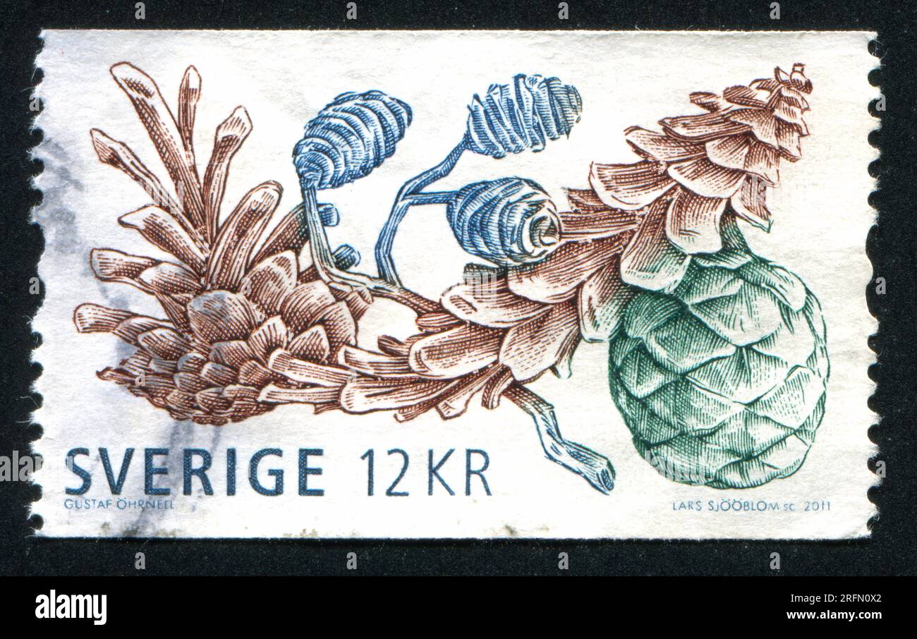 SWEDEN - CIRCA 2011: stamp printed by Sweden, shows Cones, circa 2011 ...