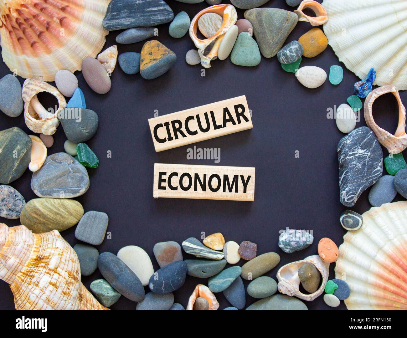 Circular economy symbol. Concept words Circular economy on beautiful ...