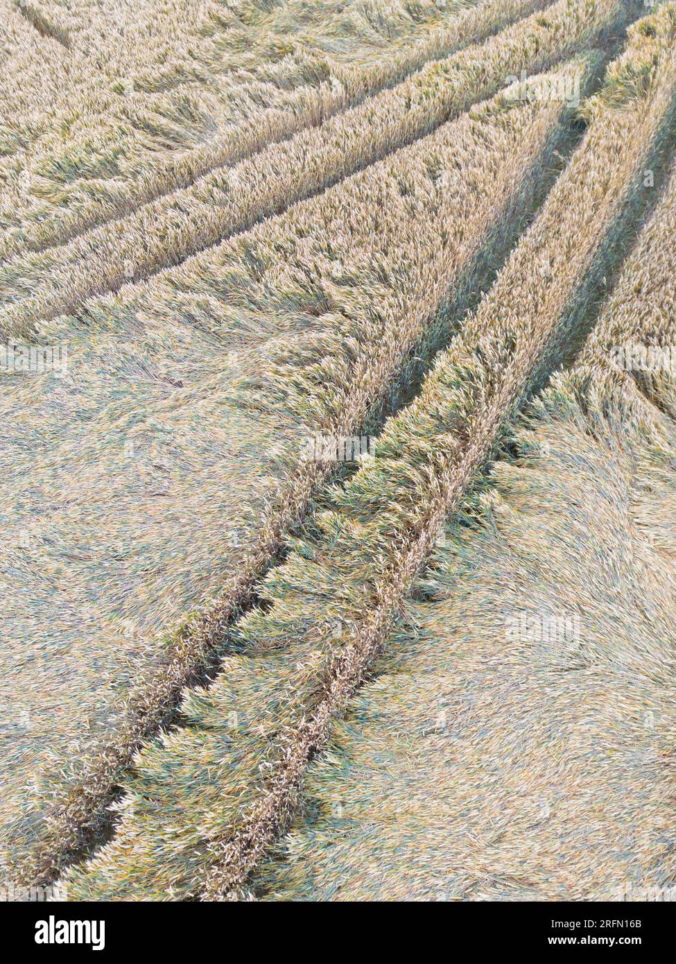 Aerial images of British farmland showing field boundaries and vehicle ...