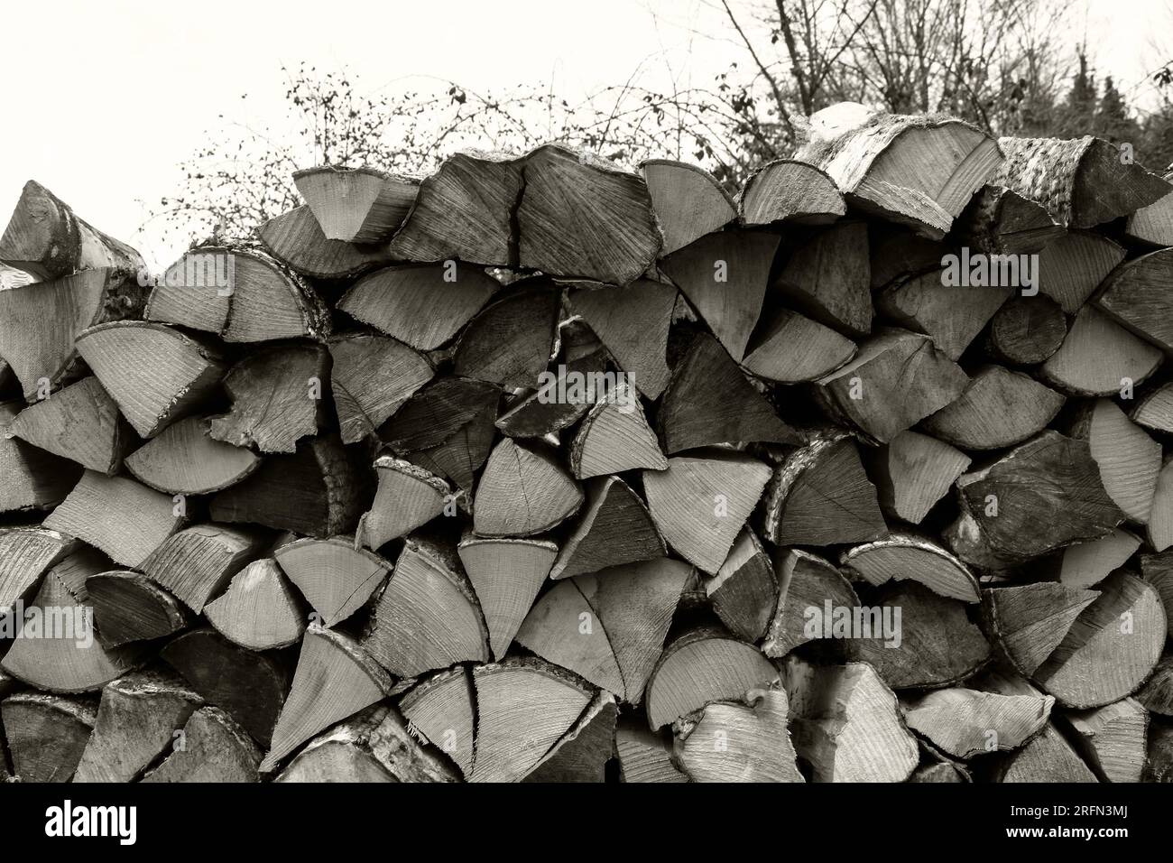 Sawn wood is stacked in woodpile. Wall of old wooden logs with cracked ...