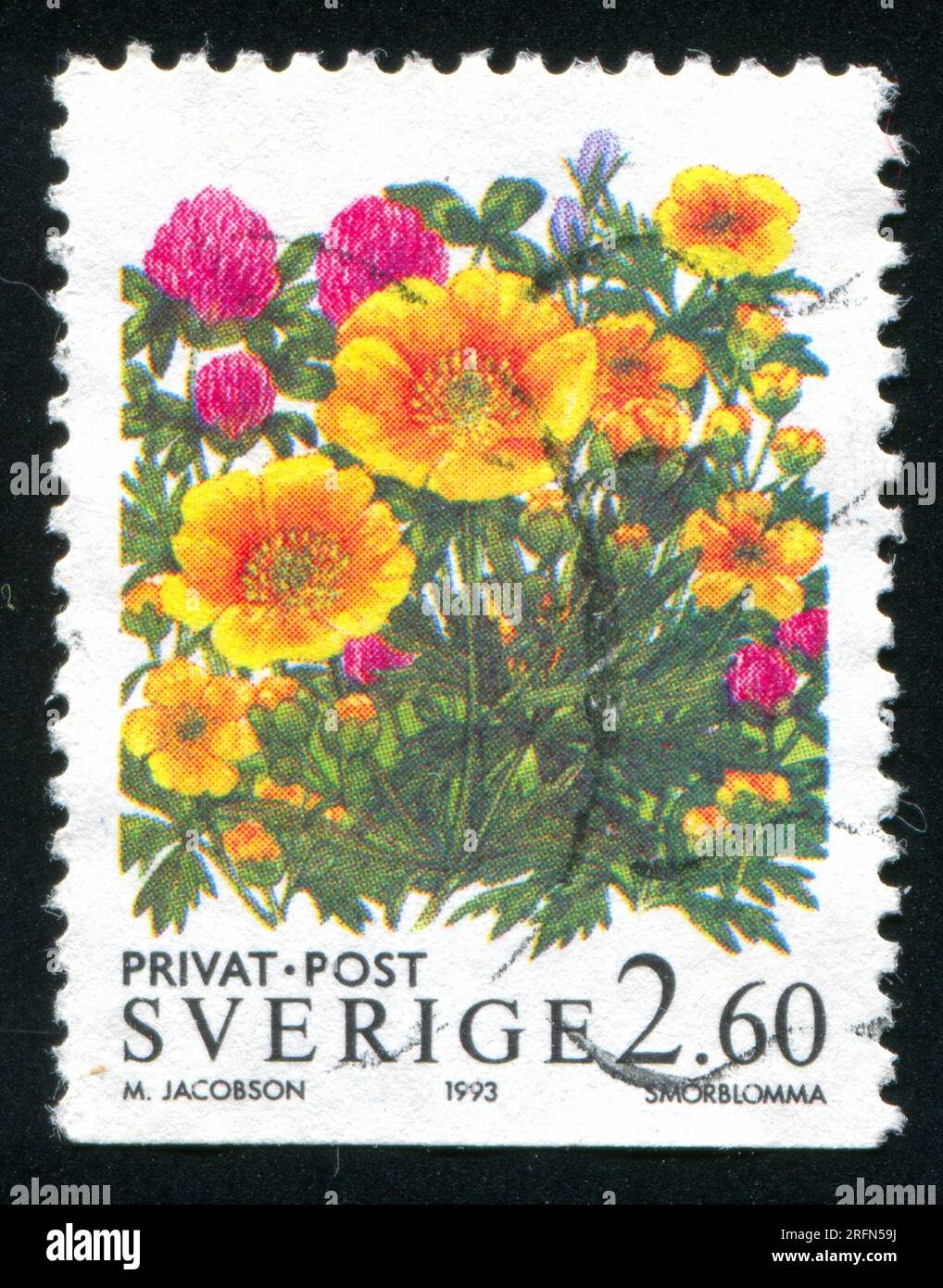 SWEDEN - CIRCA 1993: stamp printed by Sweden, shows flower Buttercup ...