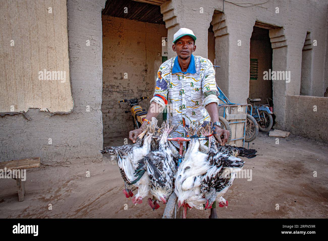 Chicken transport hi-res stock photography and images - Alamy