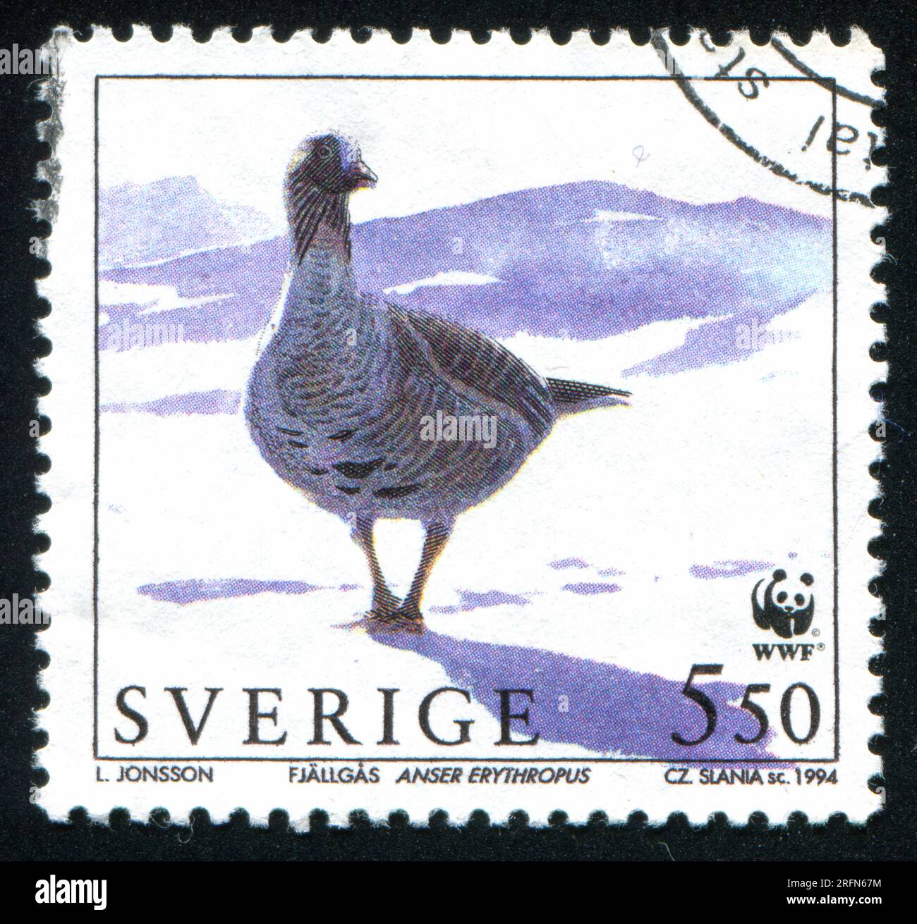 Sweden - CIRCA 1994: stamp printed by Sweden, shows goose, circa 1994 ...