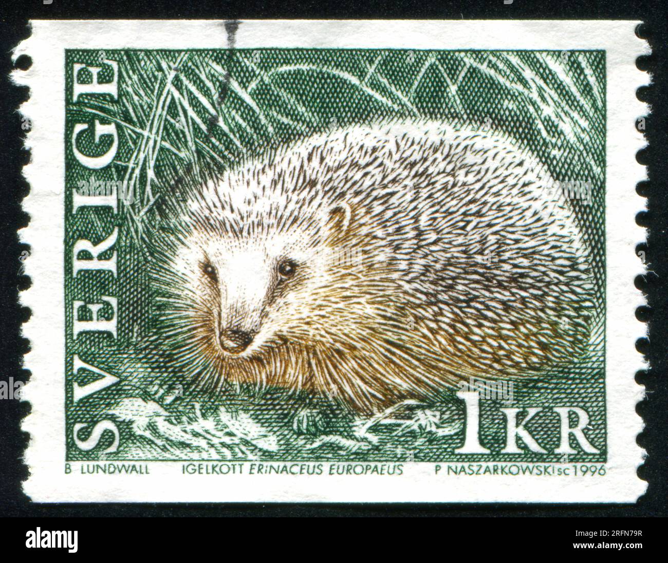SWEDEN - CIRCA 1996: stamp printed by Sweden, shows hedgehog, circa ...
