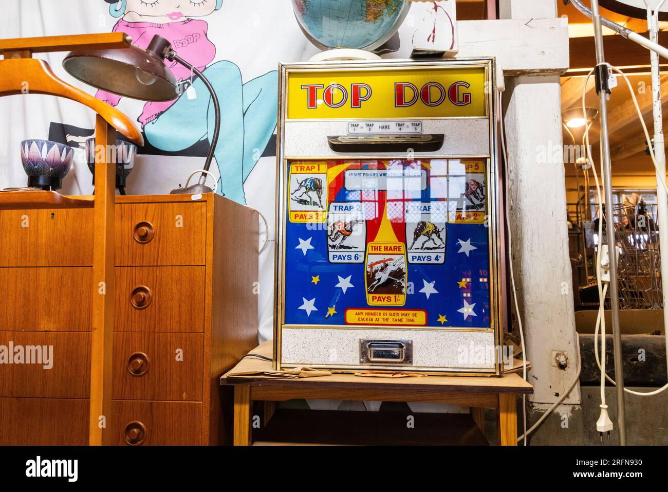 Signs and symbols, a flea market, a top dog slot machine Stock Photo ...