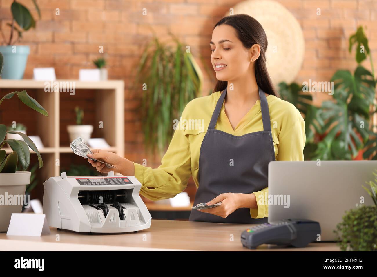 Female cashier using cash counting machine in flower shop Stock Photo ...