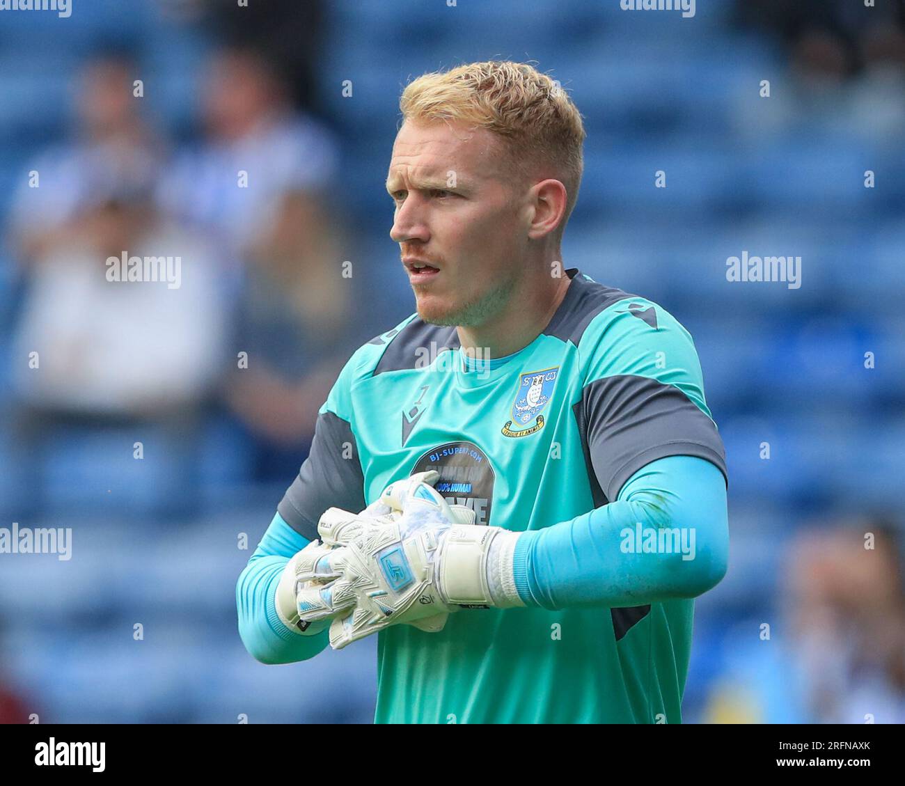 Cameron Dawson of Sheffield Wednesday during the Sky Bet Championship ...