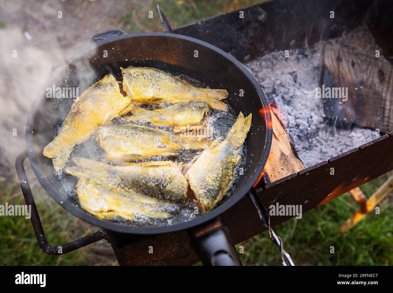 Fish in a pan over an open fire. Summer vacation near the lake, good ...