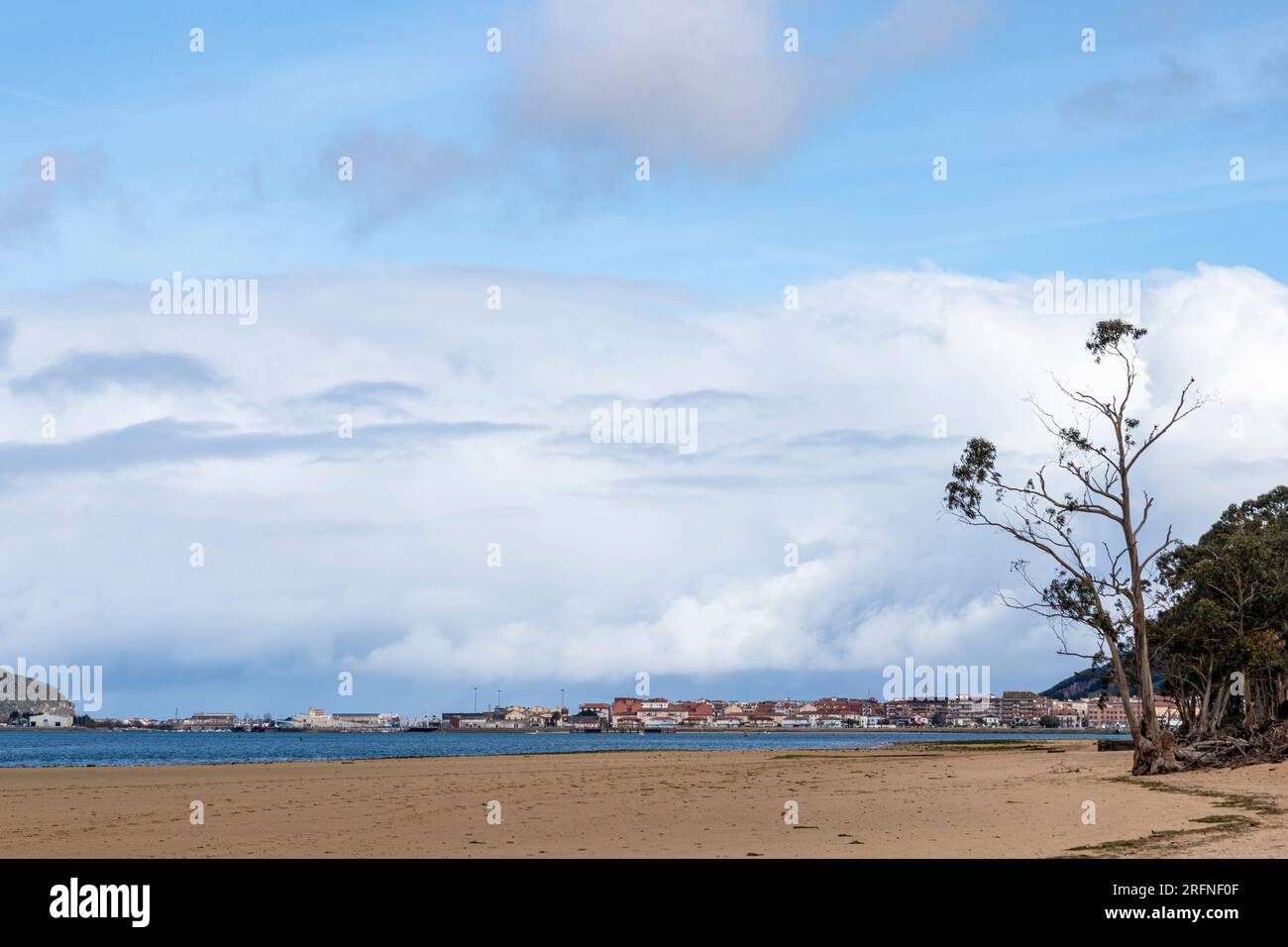 Asn estuary hi-res stock photography and images - Alamy