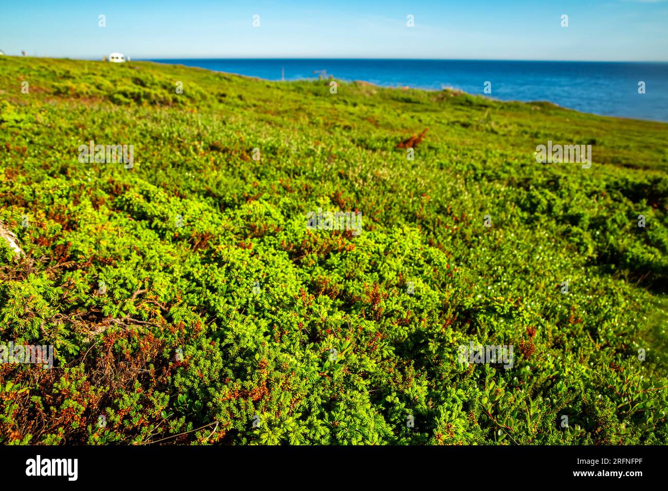 Amethyst coast of the White Sea at Cape Ship. Abandoned amethyst mining ...