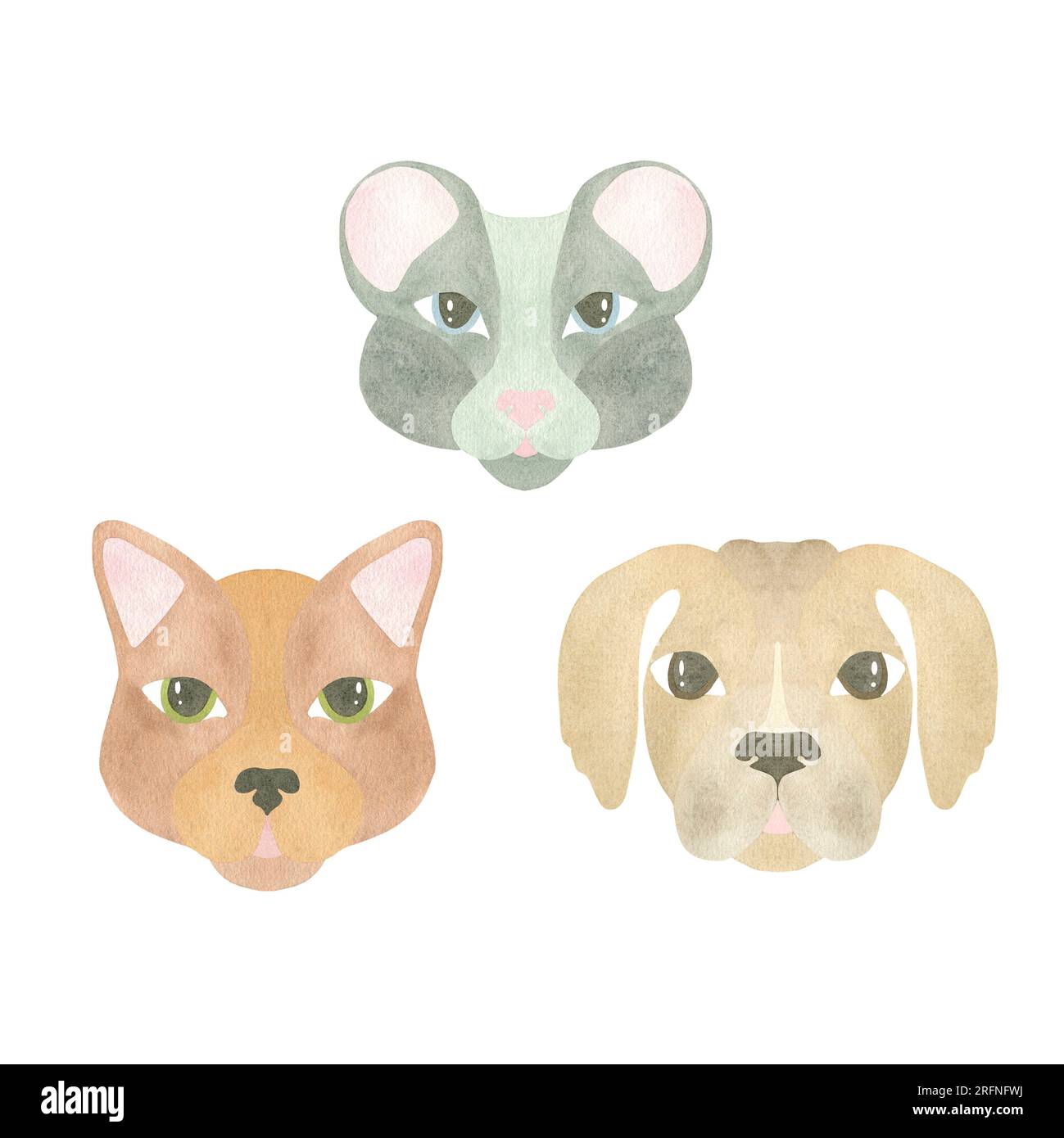 Watercolor set of funny animal faces - cat, dog and mouse, highlighted ...