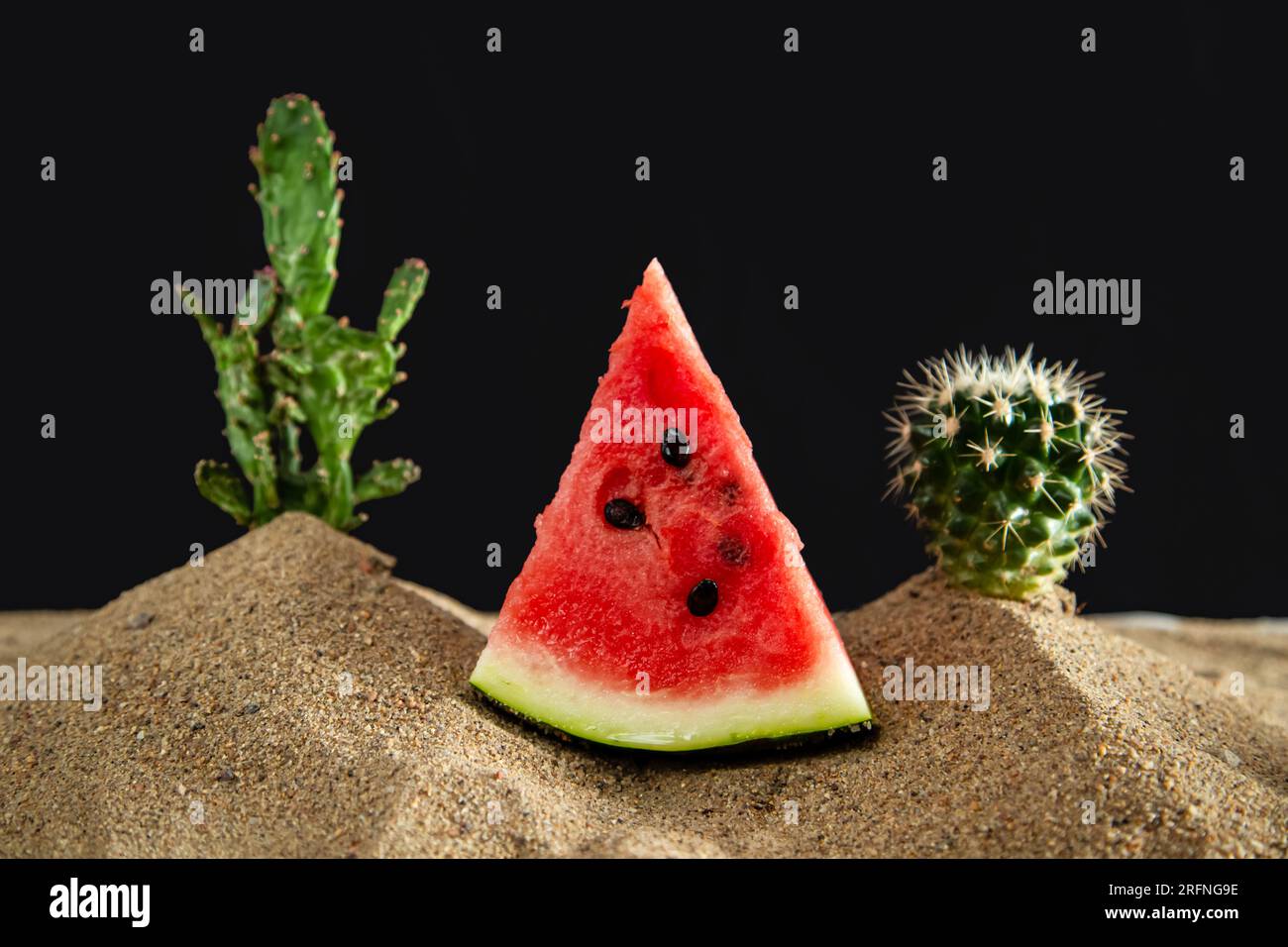 Slice of juicy ripe watermelon and cacti on the sand. Black background ...