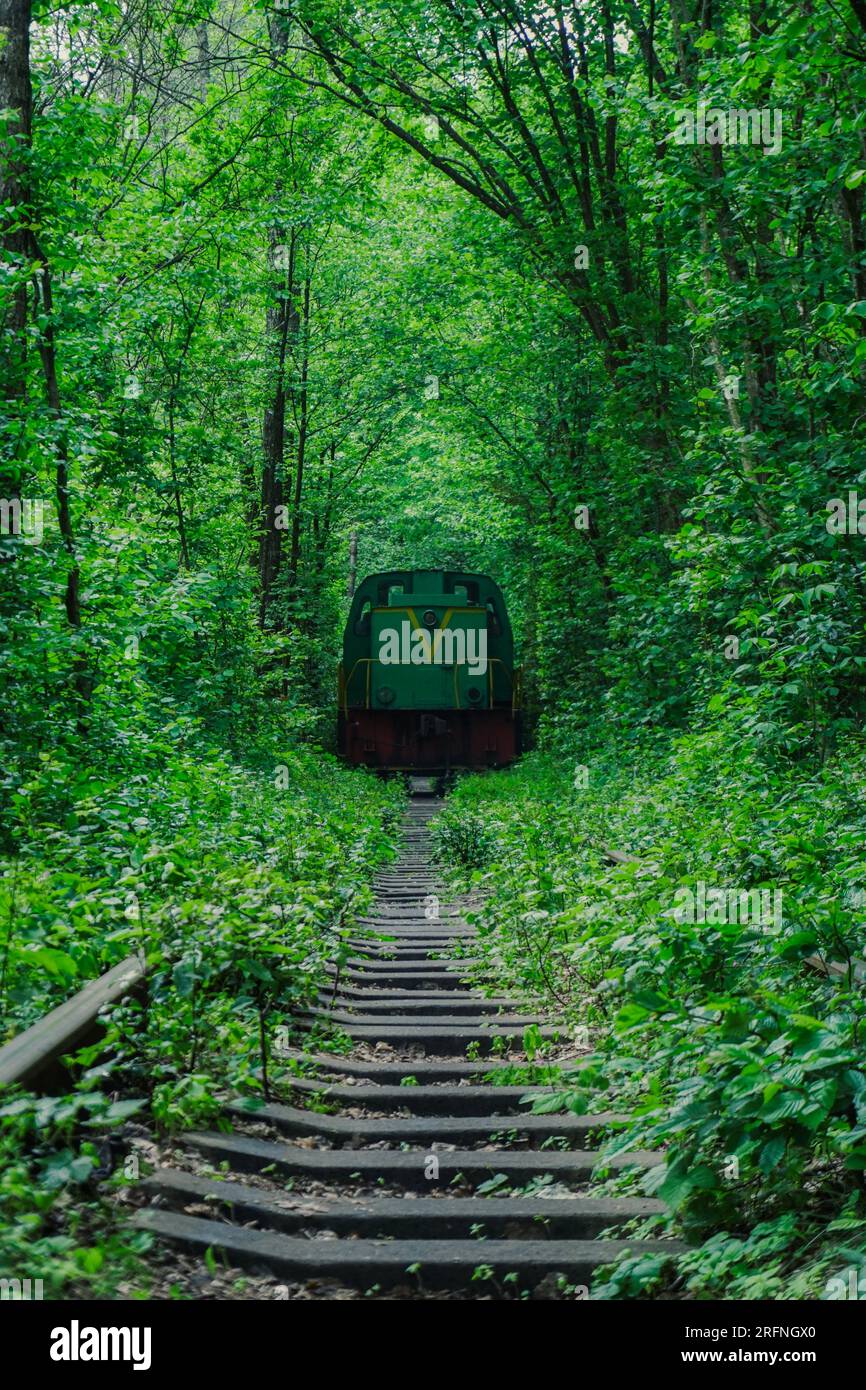 Wonder of Nature - Real Tunnel of Love, green trees and the railroad ...