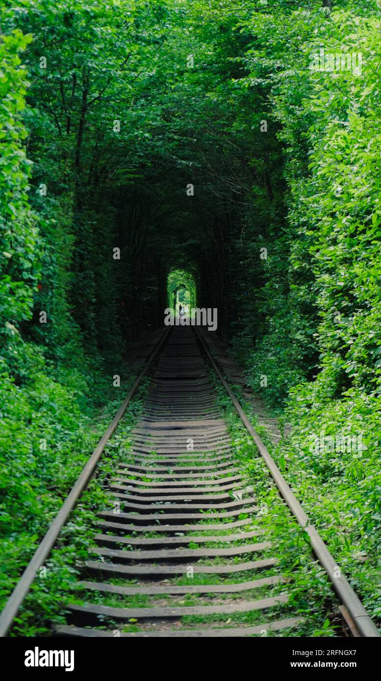Wonder of Nature - Real Tunnel of Love, green trees and the railroad ...