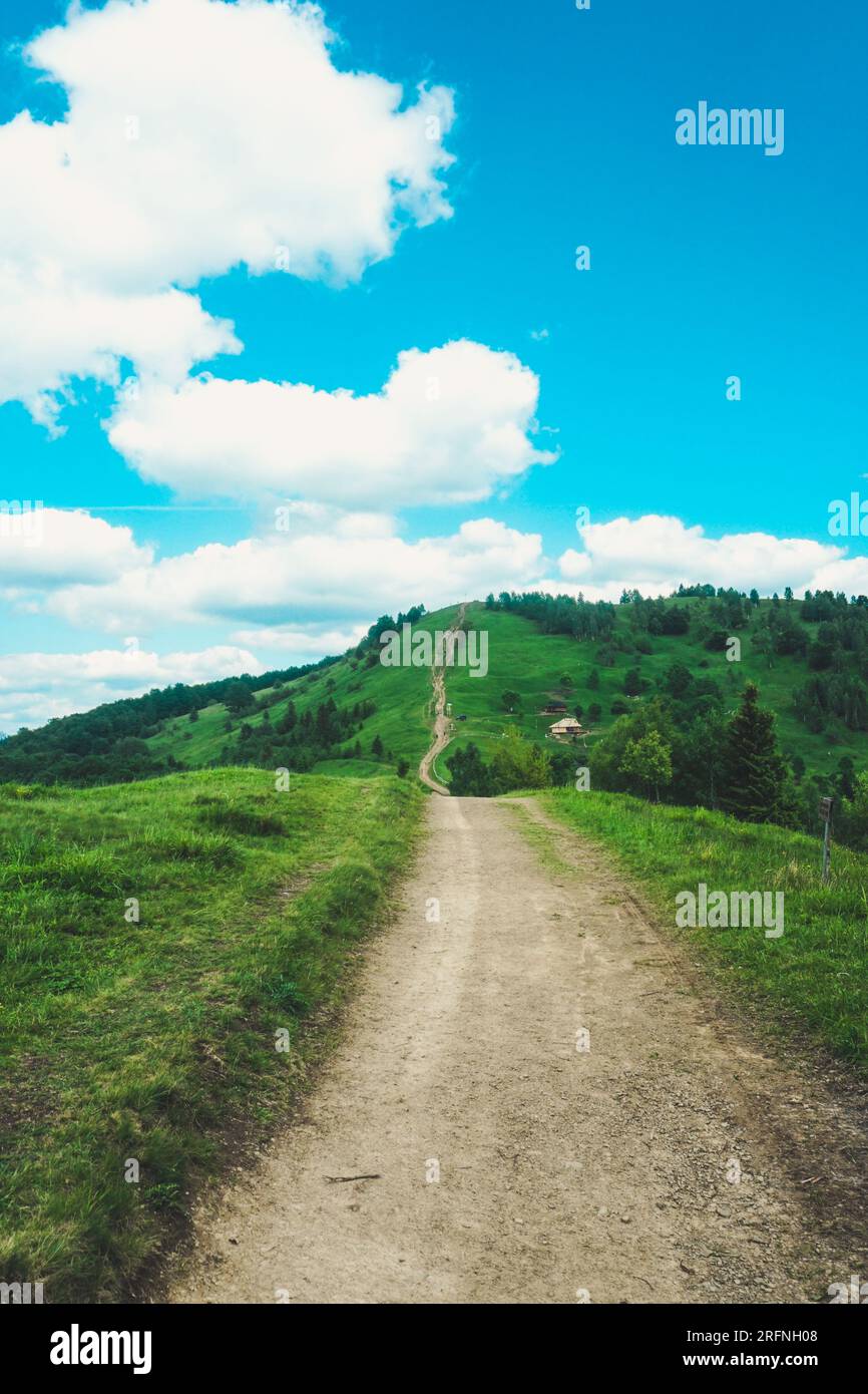 Ukraine, Yaremche View of the river and forest of Western Ukraine Stock ...