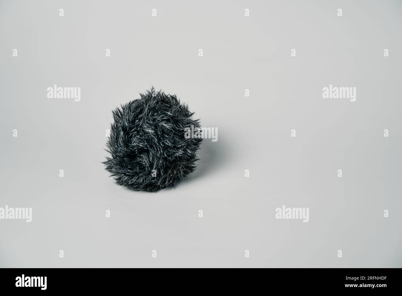 Death cat hi-res stock photography and images - Alamy