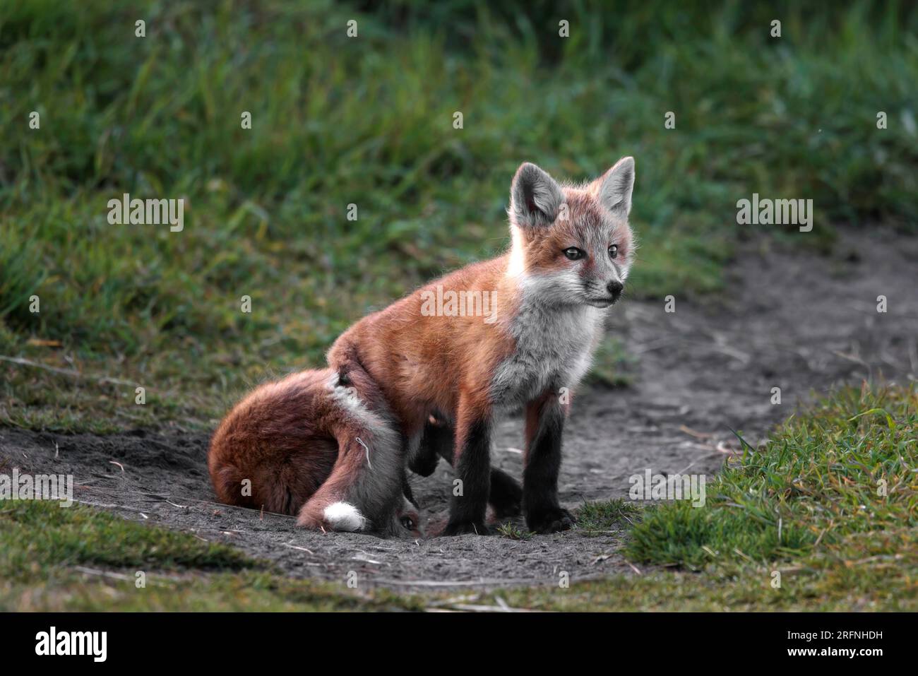 Pull Up A Chair Stock Photo - Alamy