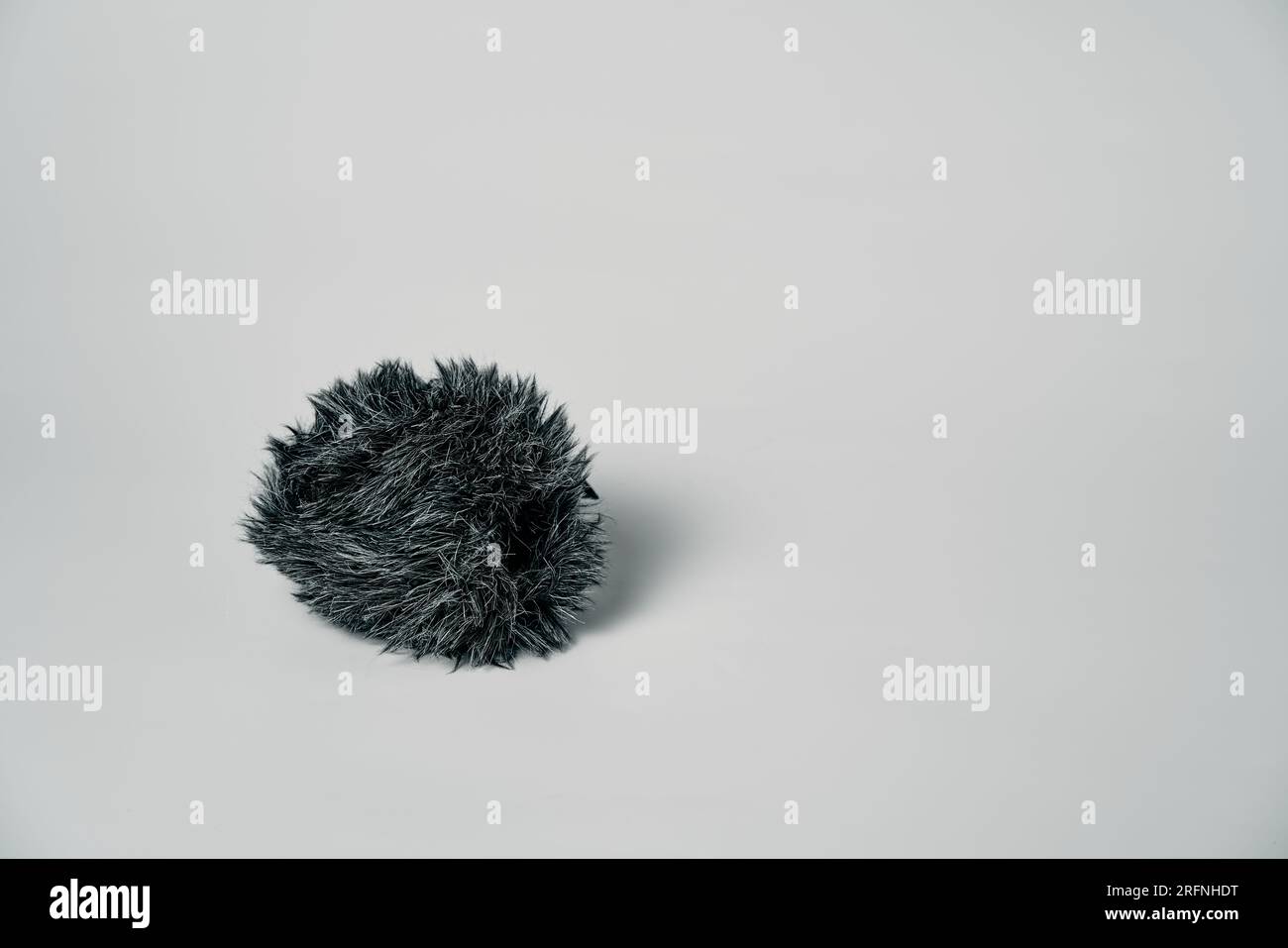 Death cat hi-res stock photography and images - Alamy