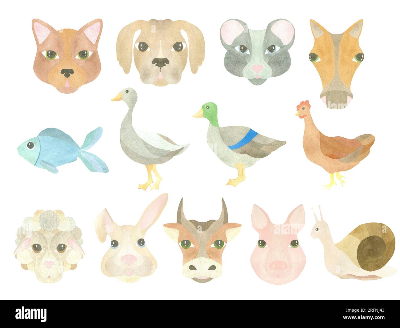 Large watercolor set of pets - cat, dog, mouse, rabbit, fish, snail ...