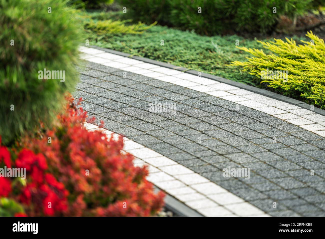 Concrete Bricks Path Inside the Beautiful Back Yard Garden. Gardening ...