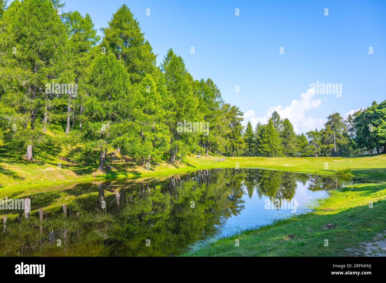 Mountain pond Roccoli Lorla in lush green forest landscape of Bergamo ...