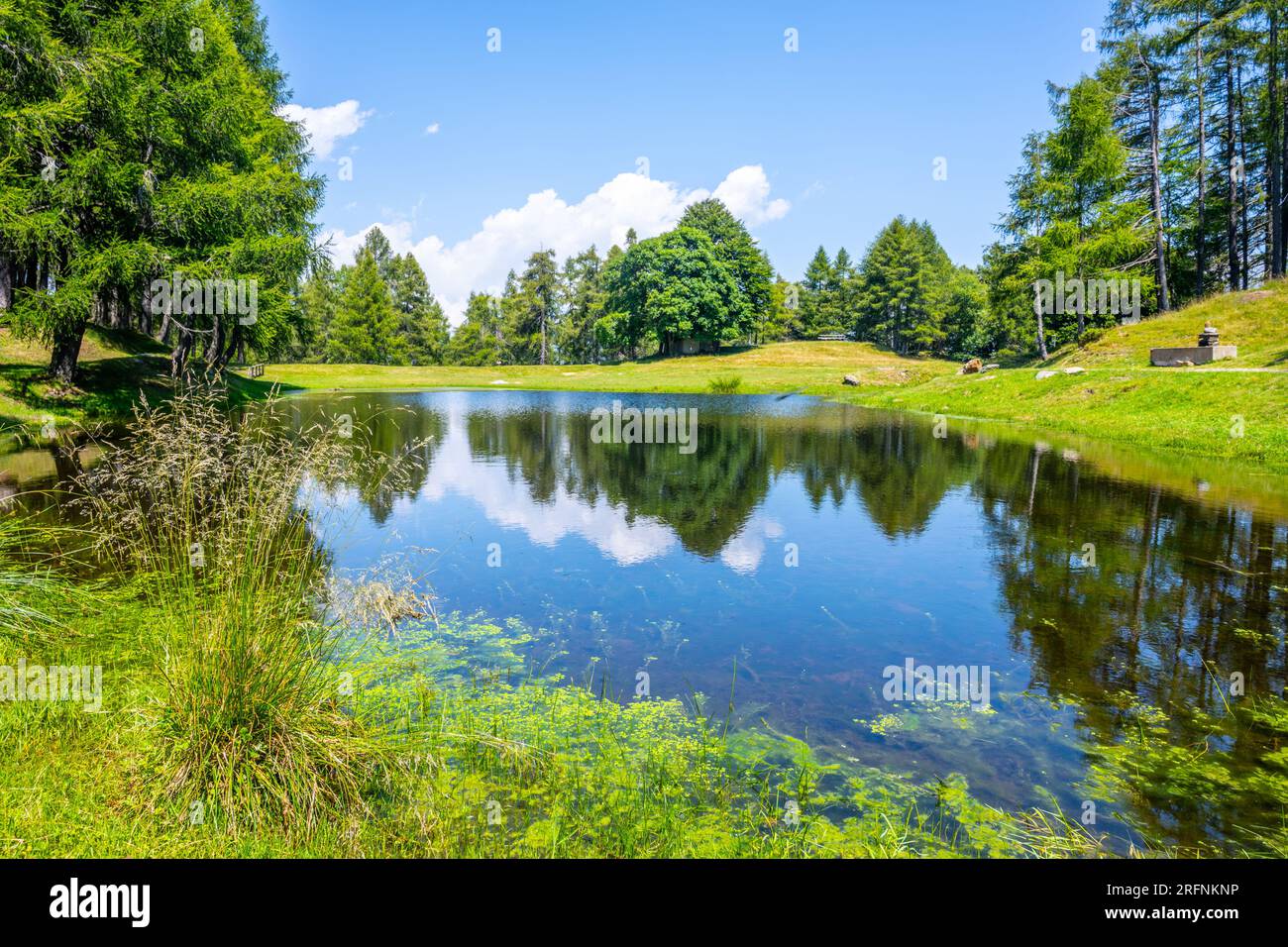 Mountain pond Roccoli Lorla in lush green forest landscape of Bergamo ...
