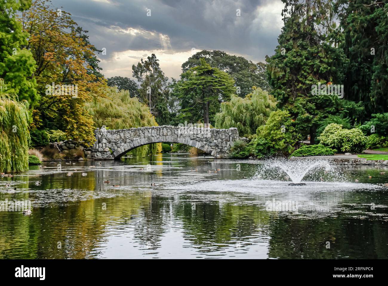 Creating water feature hi-res stock photography and images - Alamy