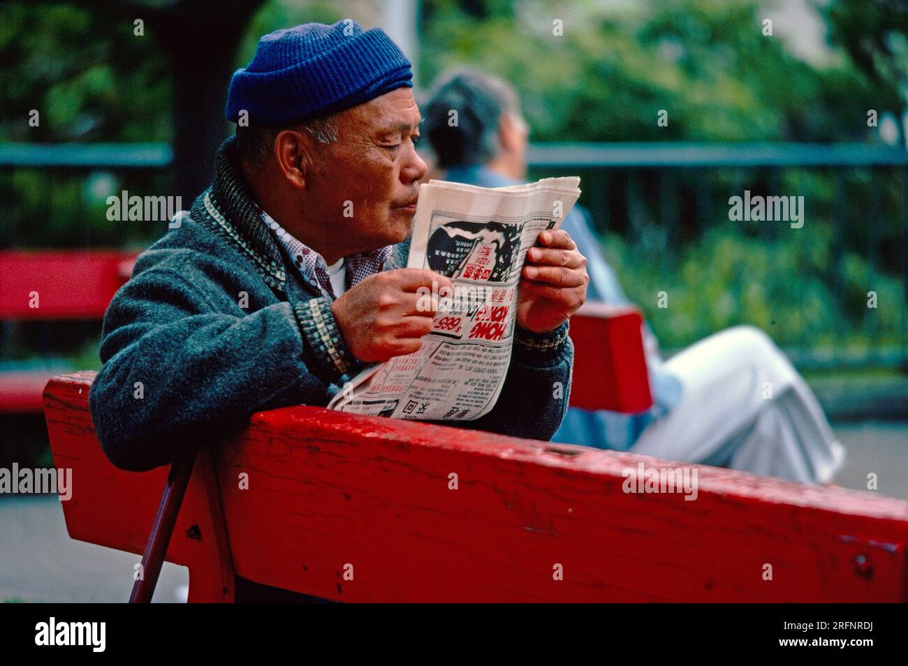Elderly Chinese man reading Chinese newspaper in Portsmouth Square ...