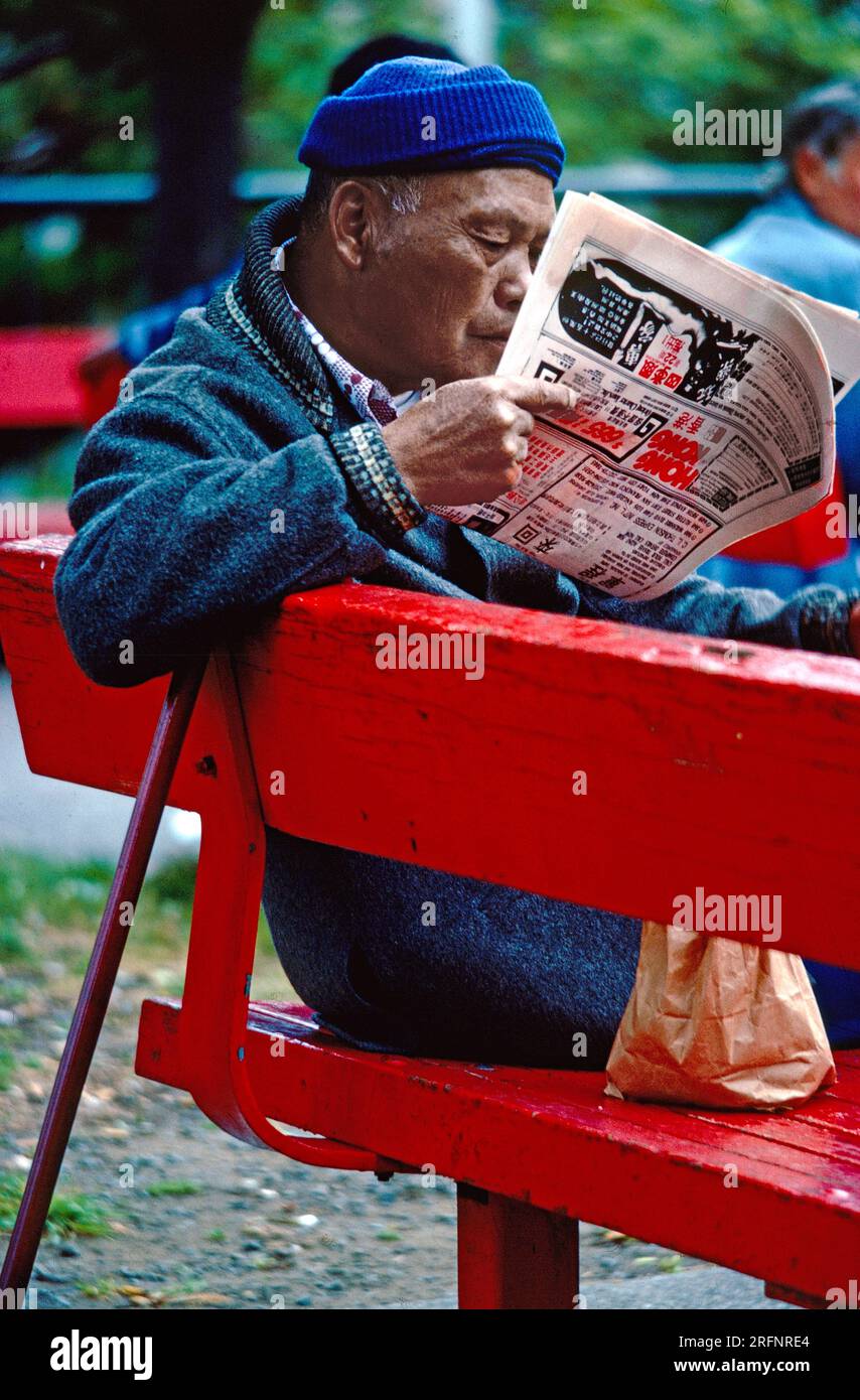 Elderly Chinese man reading Chinese newspaper in Portsmouth Square ...